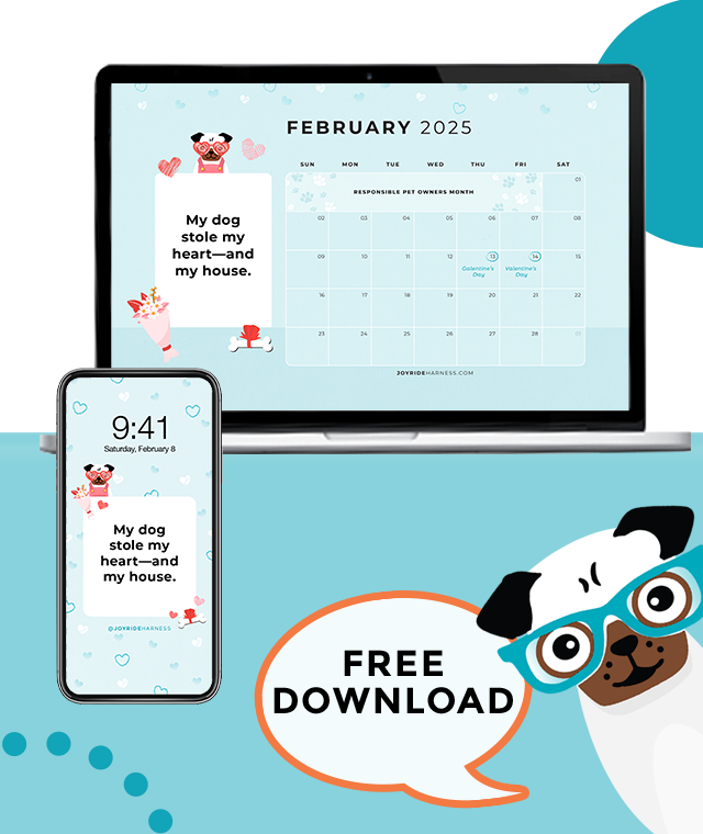 Build A Stronger Bond with Your Dog (February 2025 FREE DESKTOP & MOBI ...