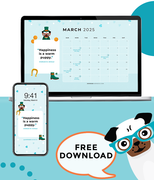 Spring is Almost Here Time Socialize Your Dog ( March 2025 FREE DESKTO ...