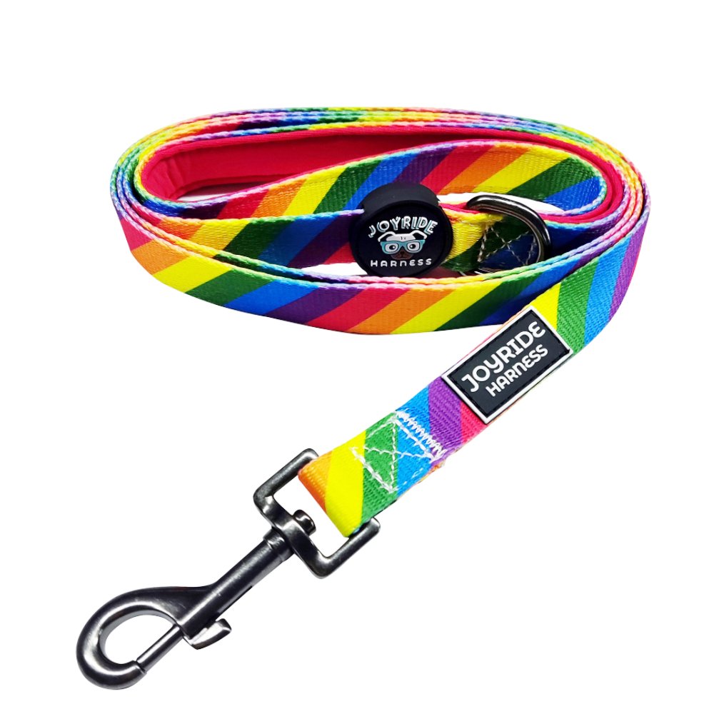 Rainbow Matching Dog Leash – Joyride Harness