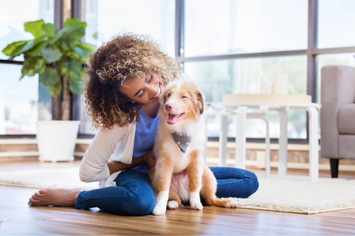 How to Introduce a New Dog to Your Home: A Step-by-Step Guide – Joyride ...