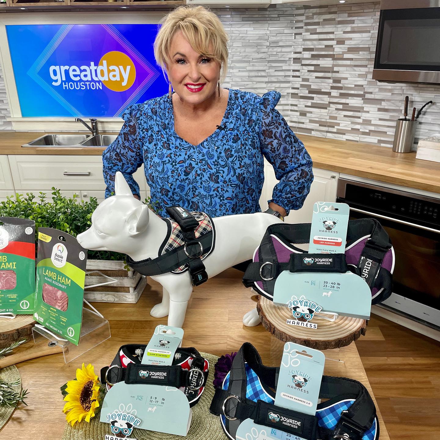 Joyride Harness Makes Live Debut on Dawn's Corner 'Great Day Houston'