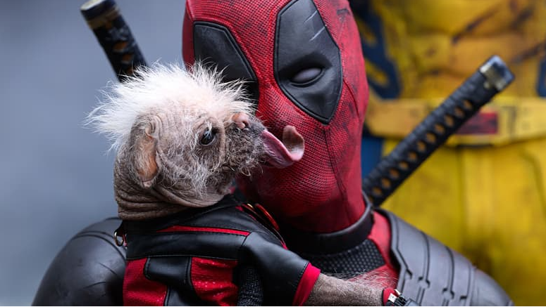 That Dog From Deadpool: DOGPOOL! – Joyride Harness