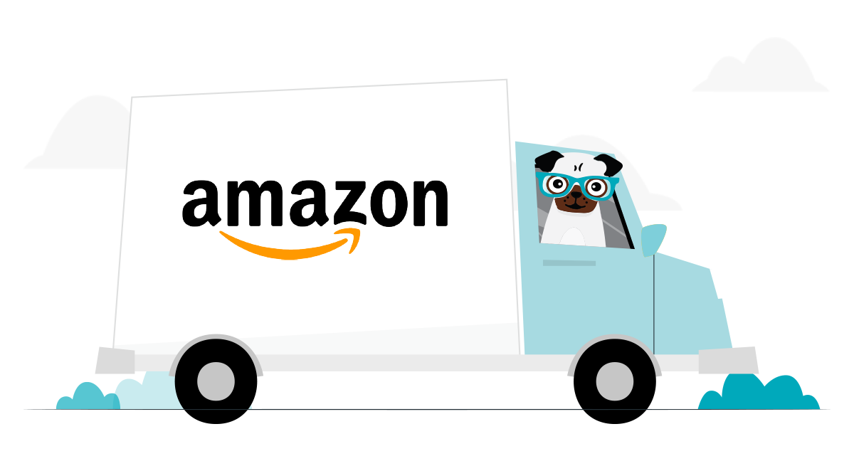 Is Joyride Harness On Amazon?