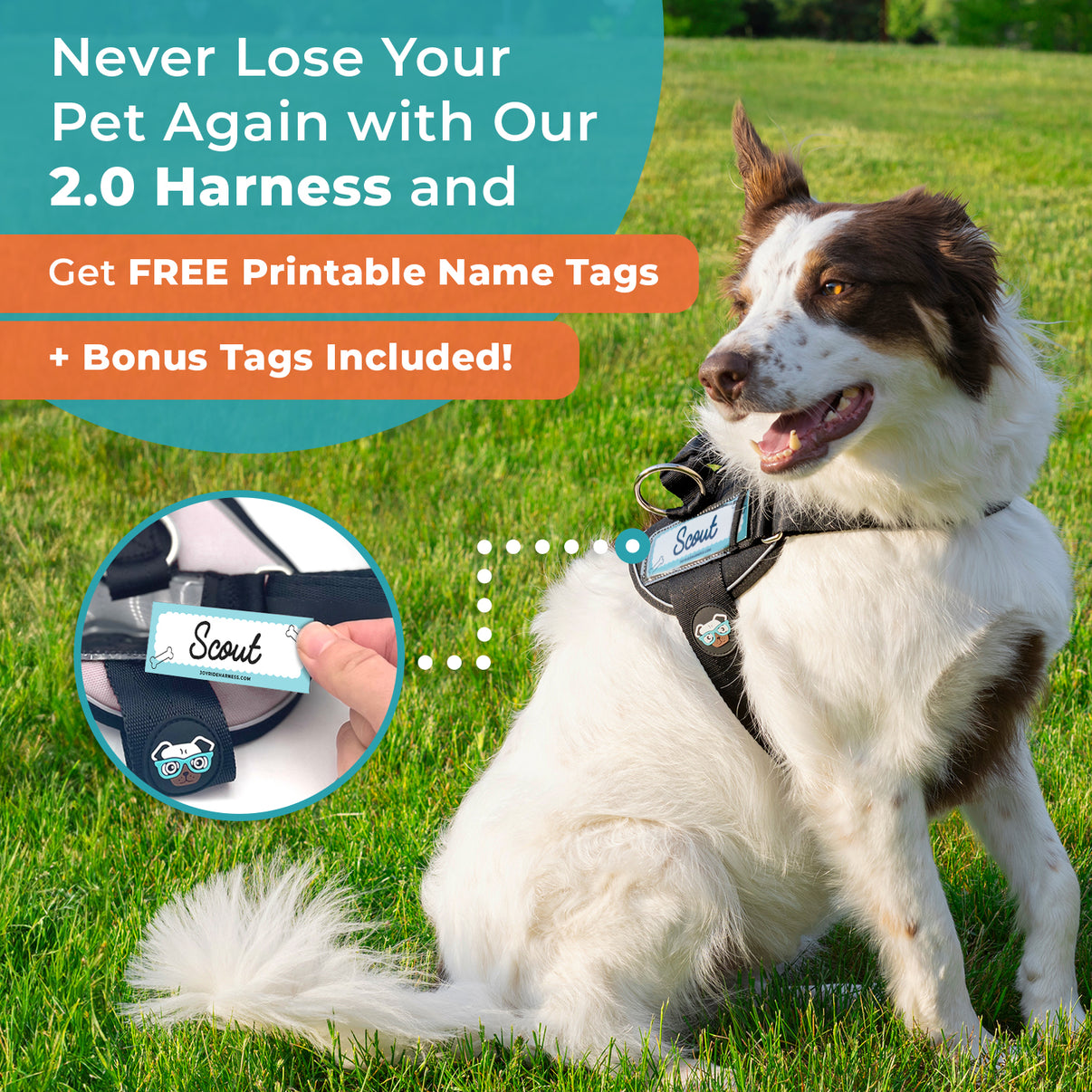 Free Custom Name Tags for 2.0 Harnesses PDF - 13 Tags Included ( -$19 ...