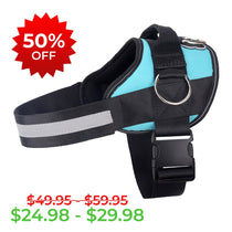 Shop Harness for Dogs | Joyride Harness