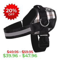 Shop Harness for Dogs | Joyride Harness