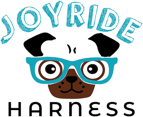 New in November Collection – Joyride Harness