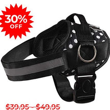 Clearance Sale#N# – Joyride Harness