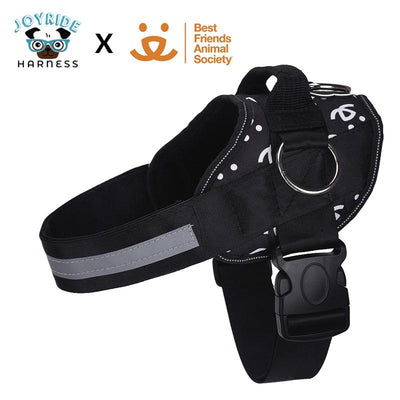 Limited Edition Joyride Harness | Save 15%